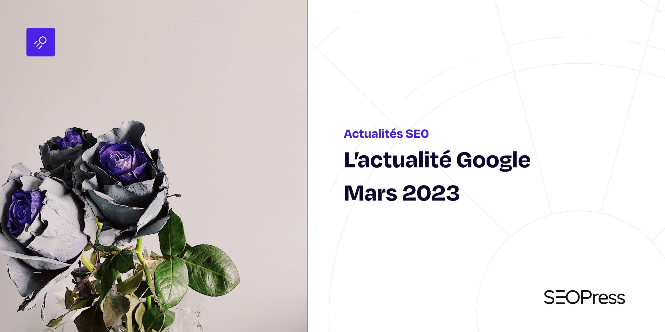 L’actualité Google – Mars 2023 - SEOPress