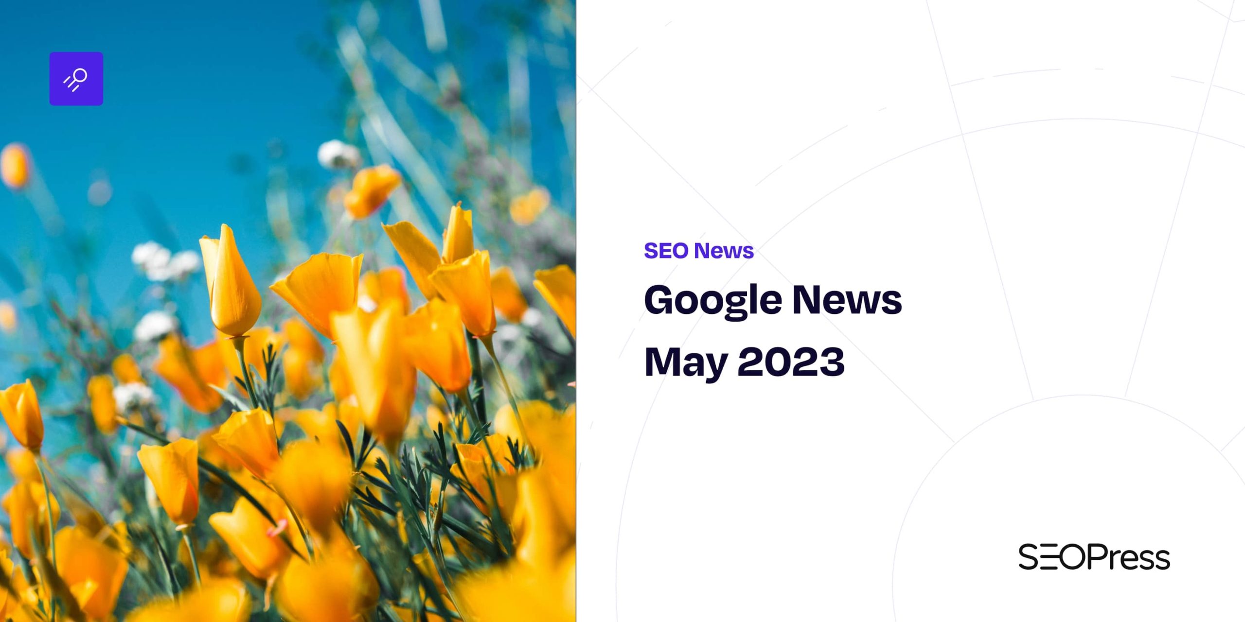 Google News May 2023 – SEOPress